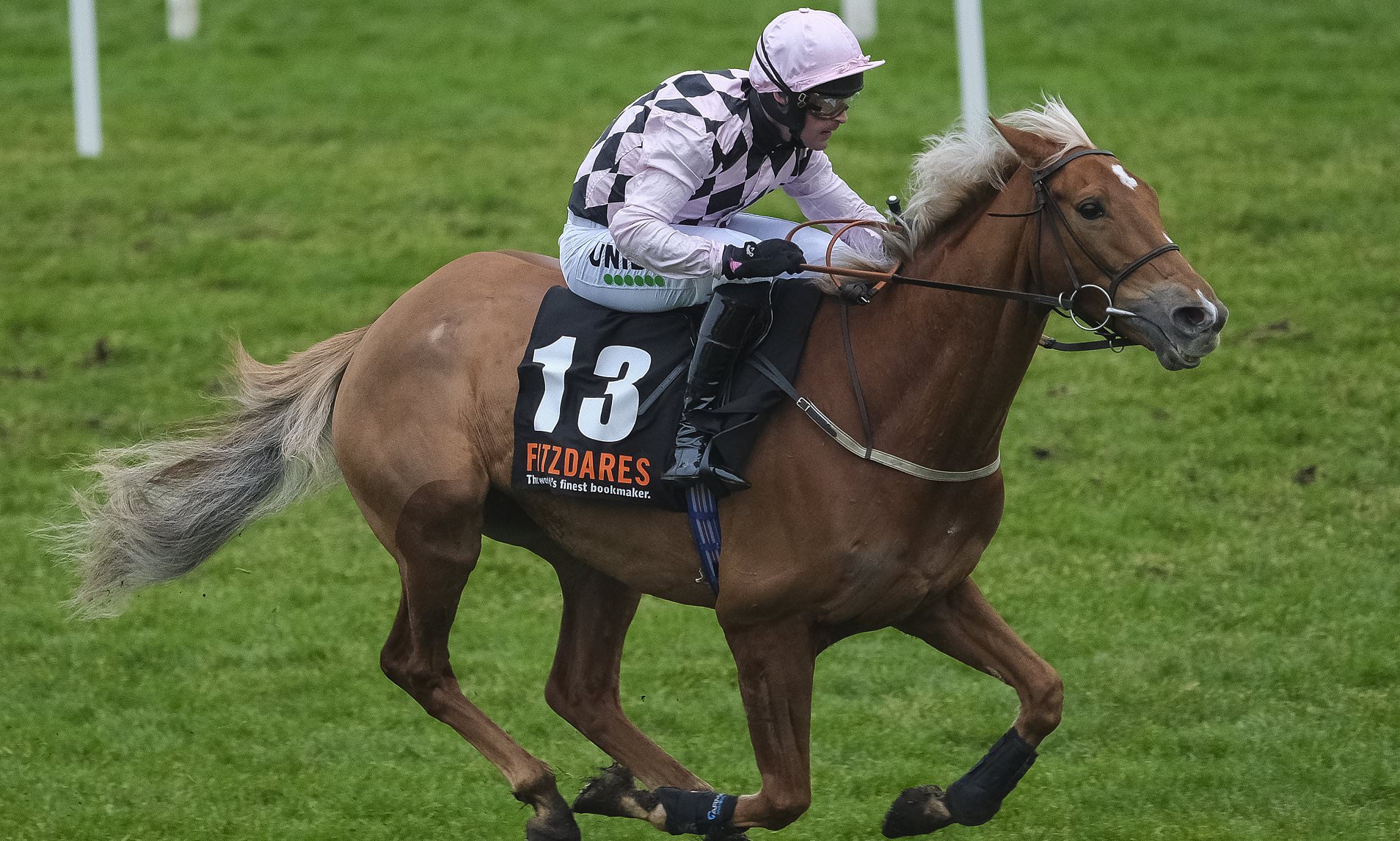 Robin Goodfellow's racing tips: Best bets for Saturday, January 18