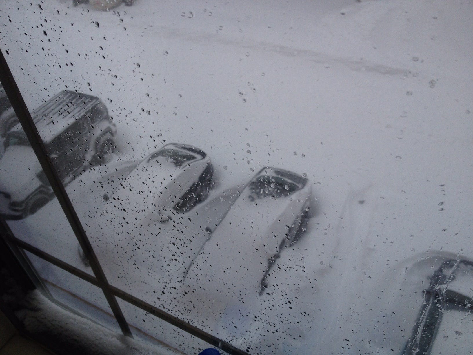 Snow memories fun for FSU coaches, players