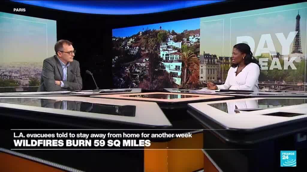 Natural element of ecosystem: L.A. fires 'so intense, violent, brutal ...