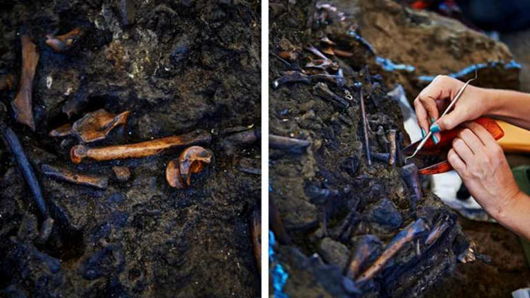 10 Fascinating Facts About the La Brea Tar Pits