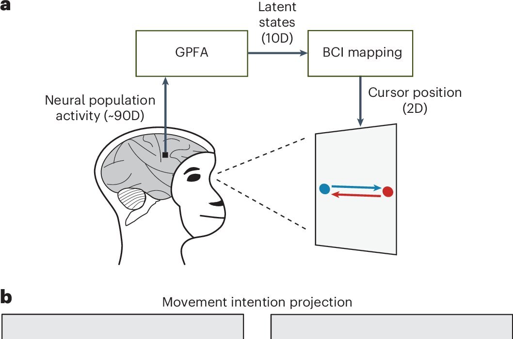 Brain-controlled interface experiment provides empirical support for ...