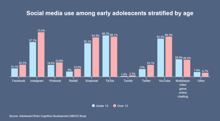 Social Media Age Requirements? Study Reveals How Many Children Ignore Rules