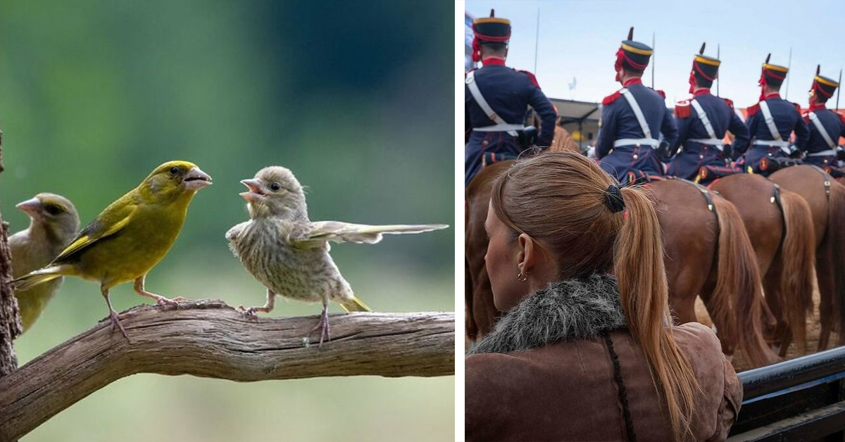 28 Photos Taken at the Perfect Time from the Perfect Perspective