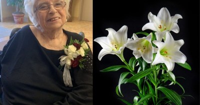 Joyce Cook, 94, devoted mother and Brewers fan, dies