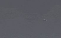 SpaceX Starship Erupts in Dramatic Explosion Over the Caribbean