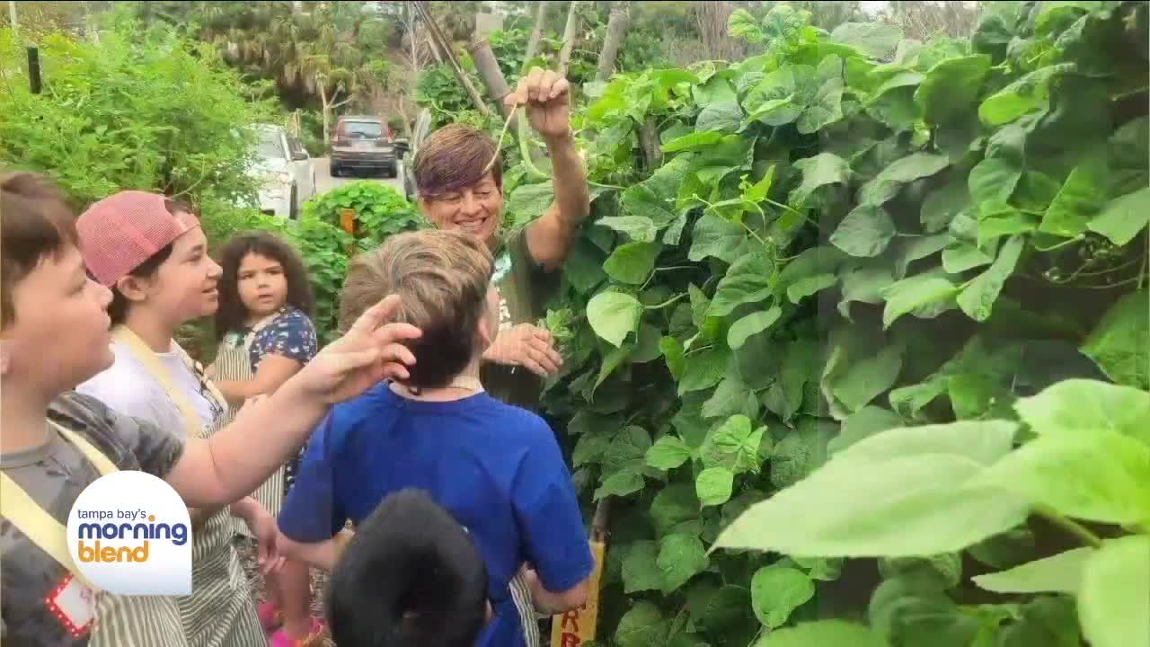 Daystar Life Center | Morning Blend