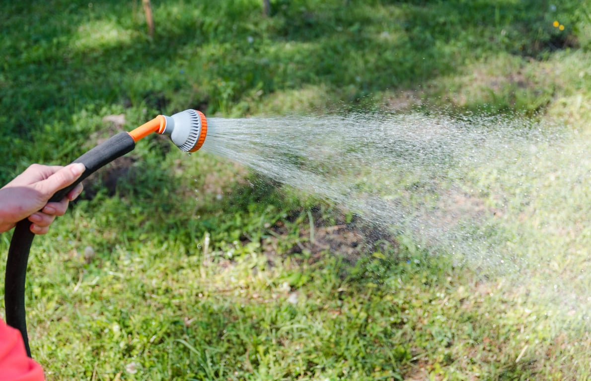 5 signs that it's high time to overseed your lawn