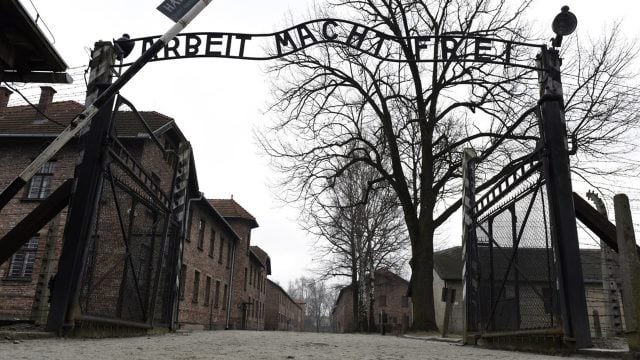 Sobrevivientes de Auschwitz recuerdan el sufrimiento 80 años después de ... Sobrevivientes de Auschwitz recuerdan el sufrimiento 80 años después de ...