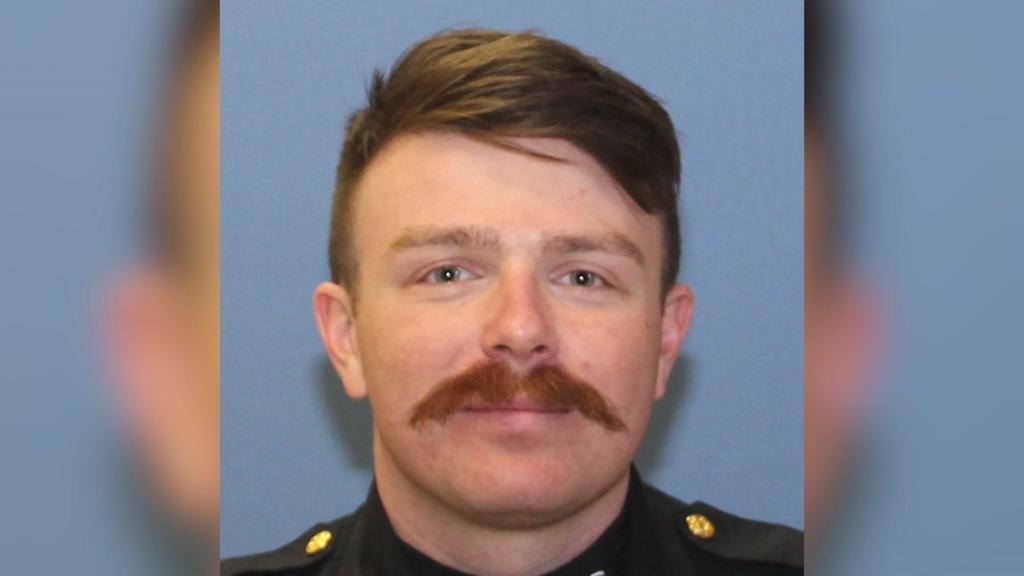 Suffolk County police officer out of coma after being gravely injured ...