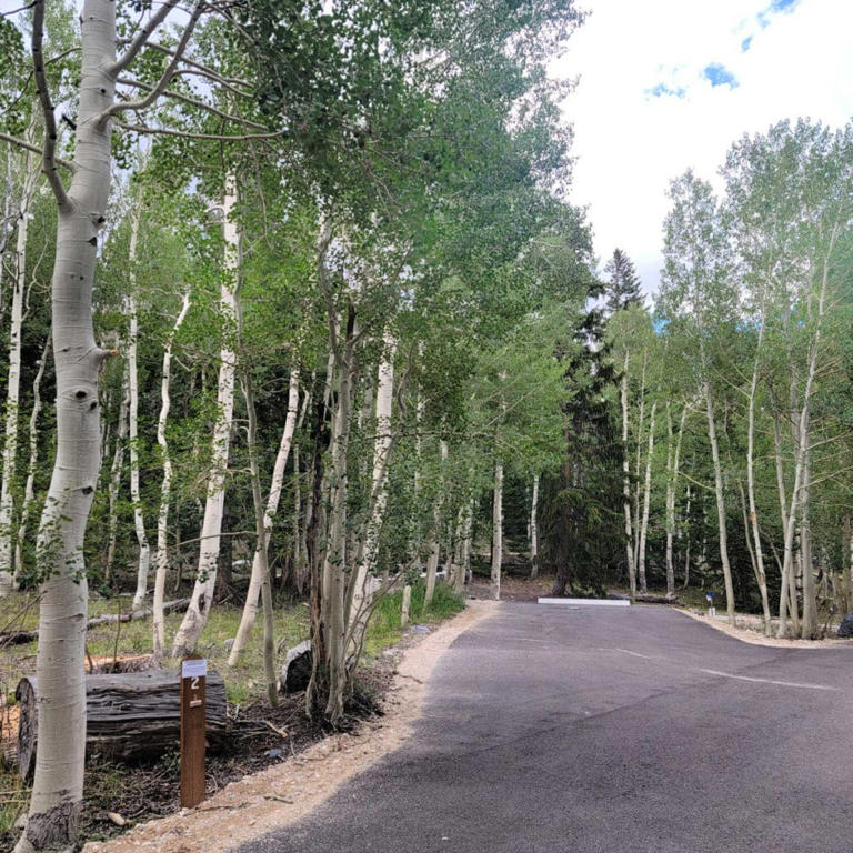 Wheeler Peak Campground - Great Basin National Park