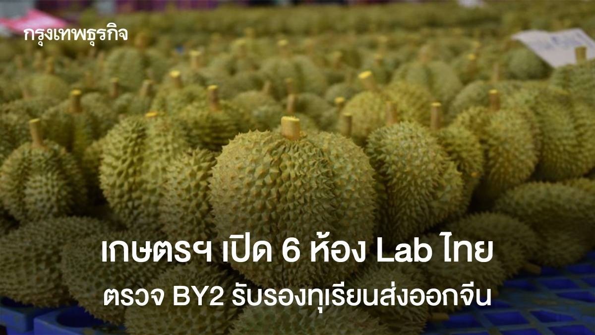 เกษตรฯ เปิด 6 ห้อง Lab ไทยตรวจ BY2 รับรองทุเรียนส่งออกจีน