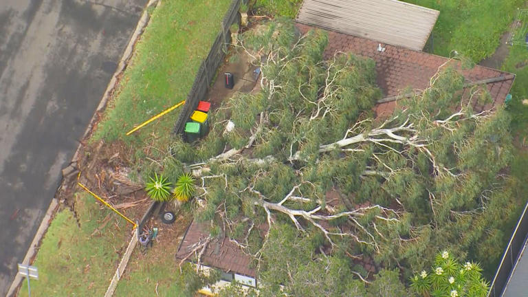 Thousands remain without power after Sydney storms Thousands remain without power after Sydney storms