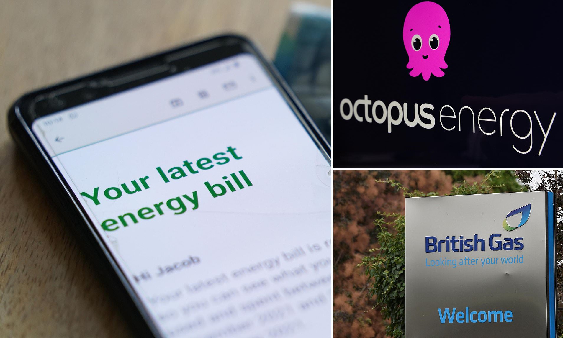 Octopus overtakes British Gas to become Britain's biggest supplier