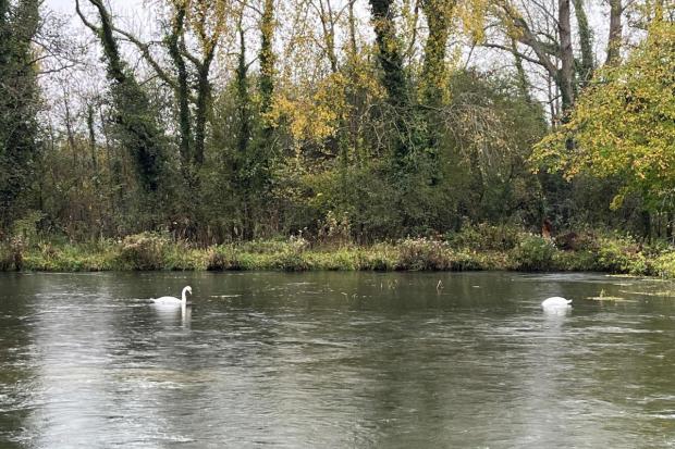 Southern Water agrees to fund new testing equipment at key river sites