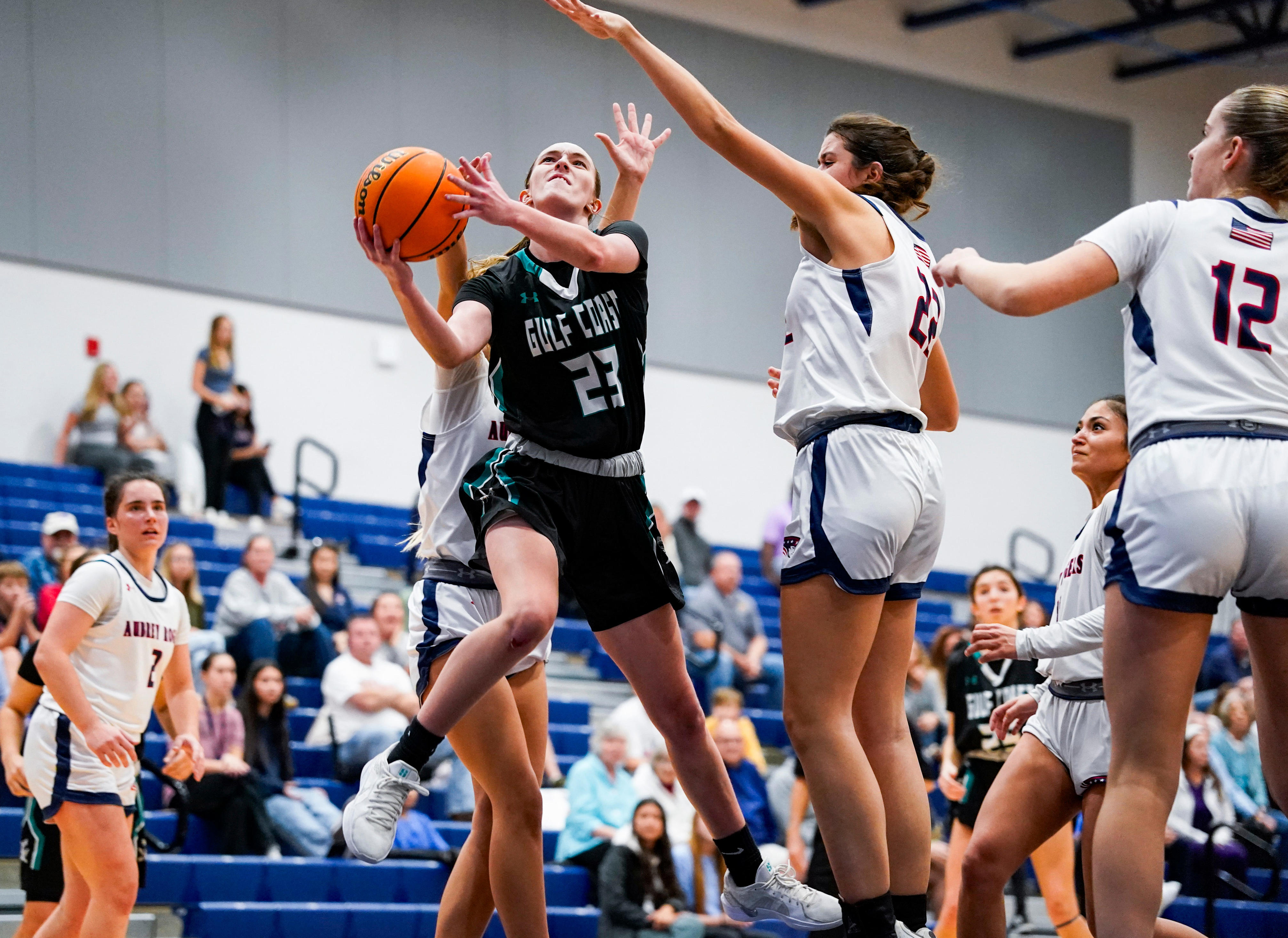 Florida girls basketball FHSAA playoff brackets for SW Florida. Who's ...