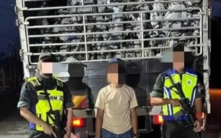 Cops foil 2 attempts to smuggle nearly RM1mil plants from Thailand