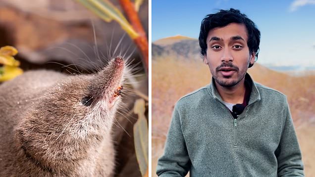 California Academy of Sciences photographs this rare animal for first time