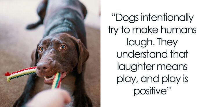 32 Of The Most Brain-Scrambling “Today I Learned” Facts (New Facts)