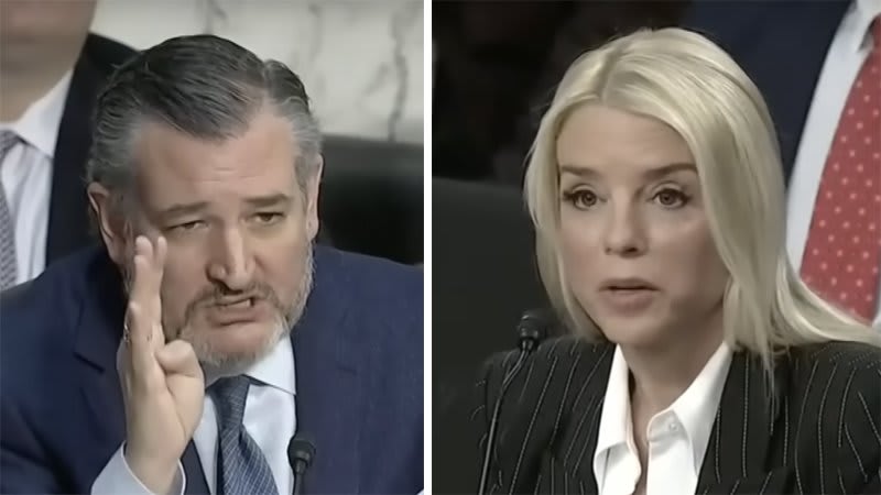 Trump nominee burned for 'slack-jawed, whack-job moment' with Ted Cruz