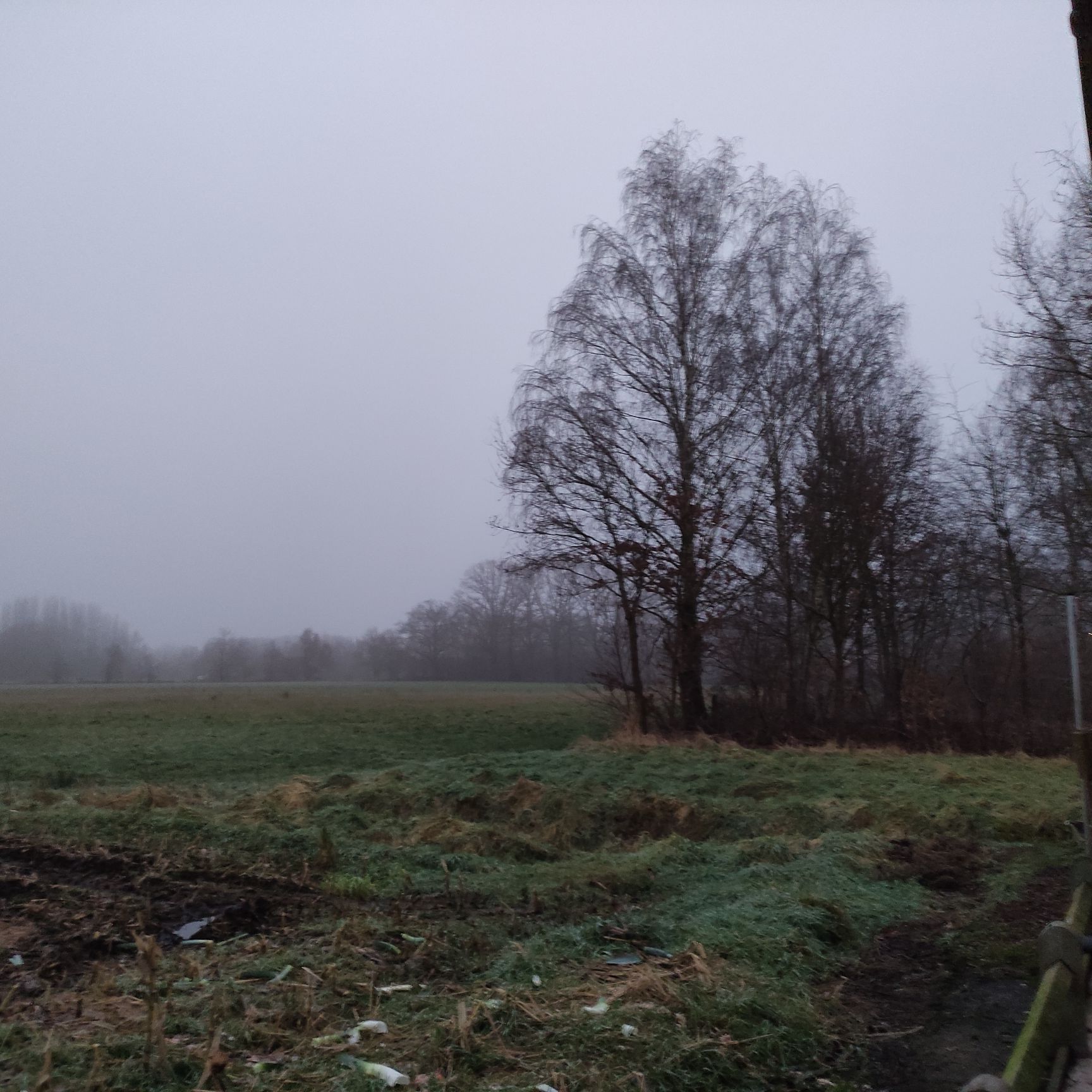 Weerman Samuel ziet het weer veranderen volgende week