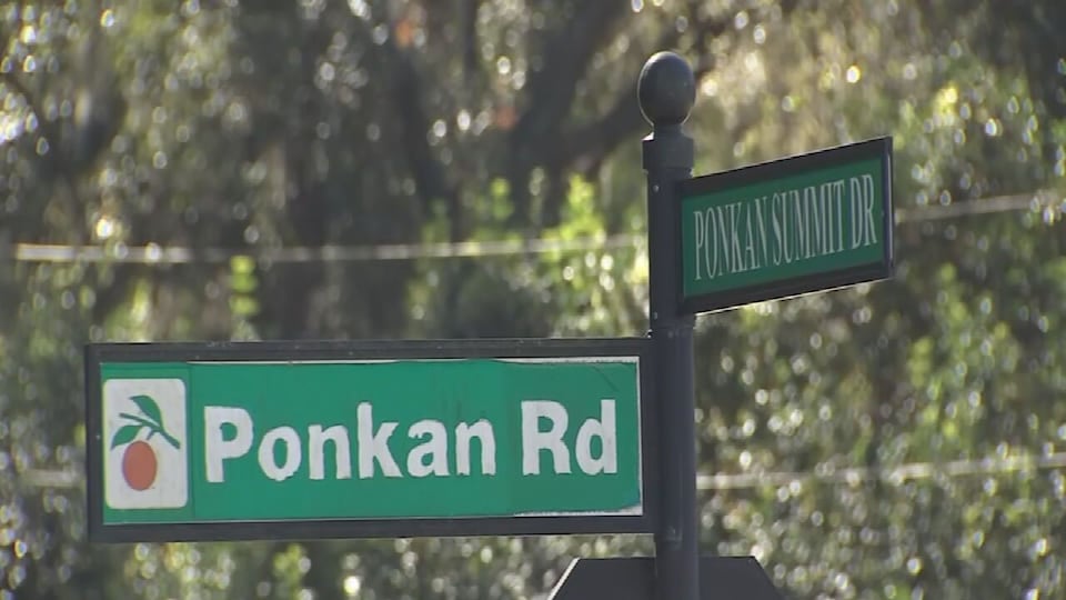 “Too much, too fast”: Opposition grows for 600-acre Paulucci Acres ...