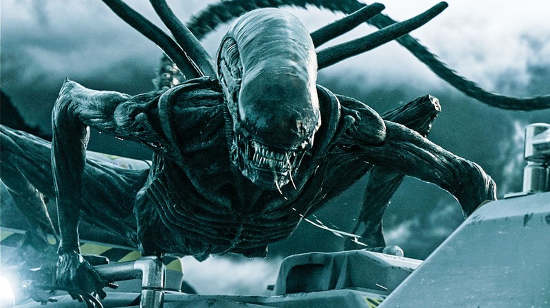 Alien: Do Xenomorphs Have Eyes?