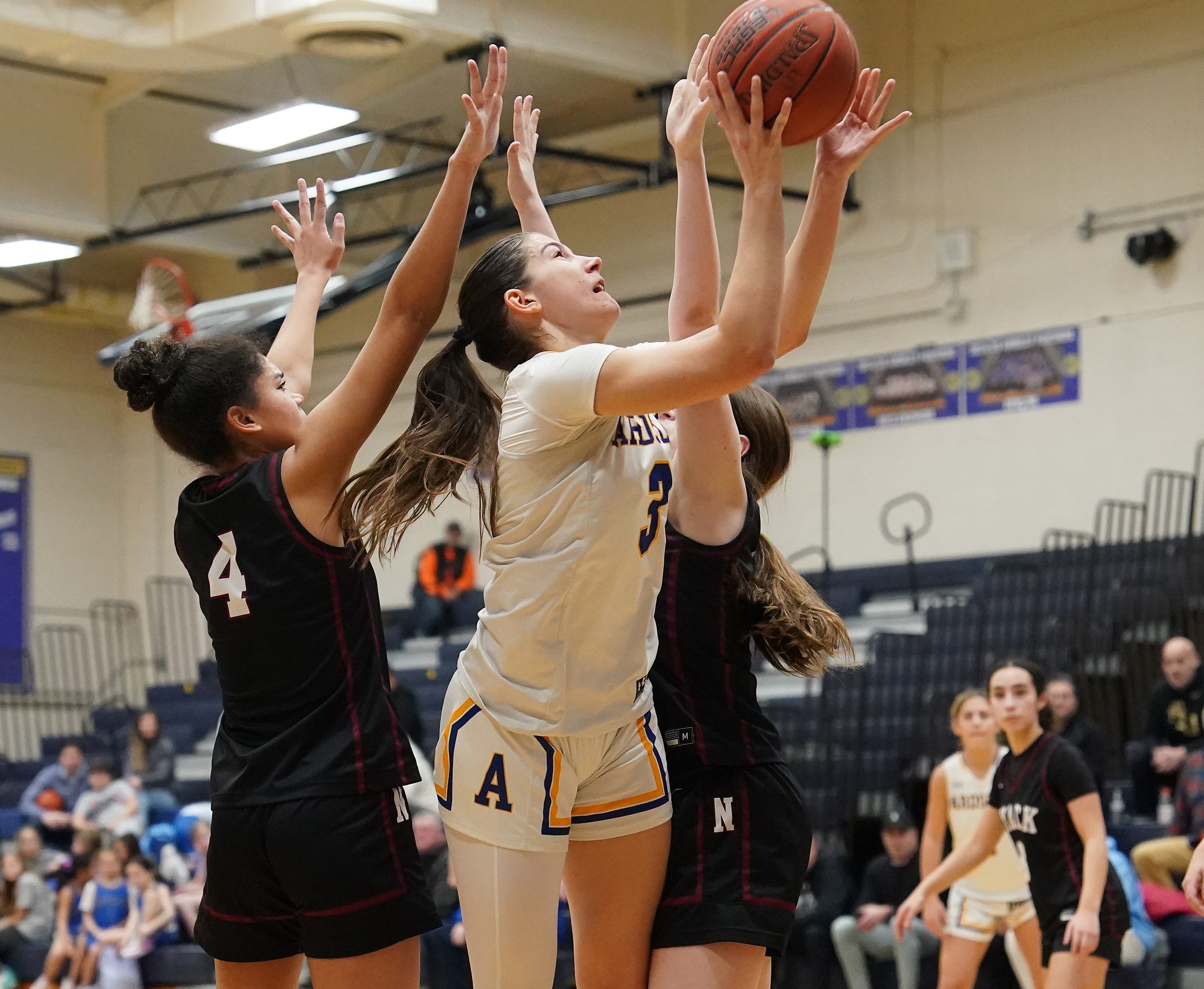 Girls basketball: Schedule, submitted game recaps and scores for ...