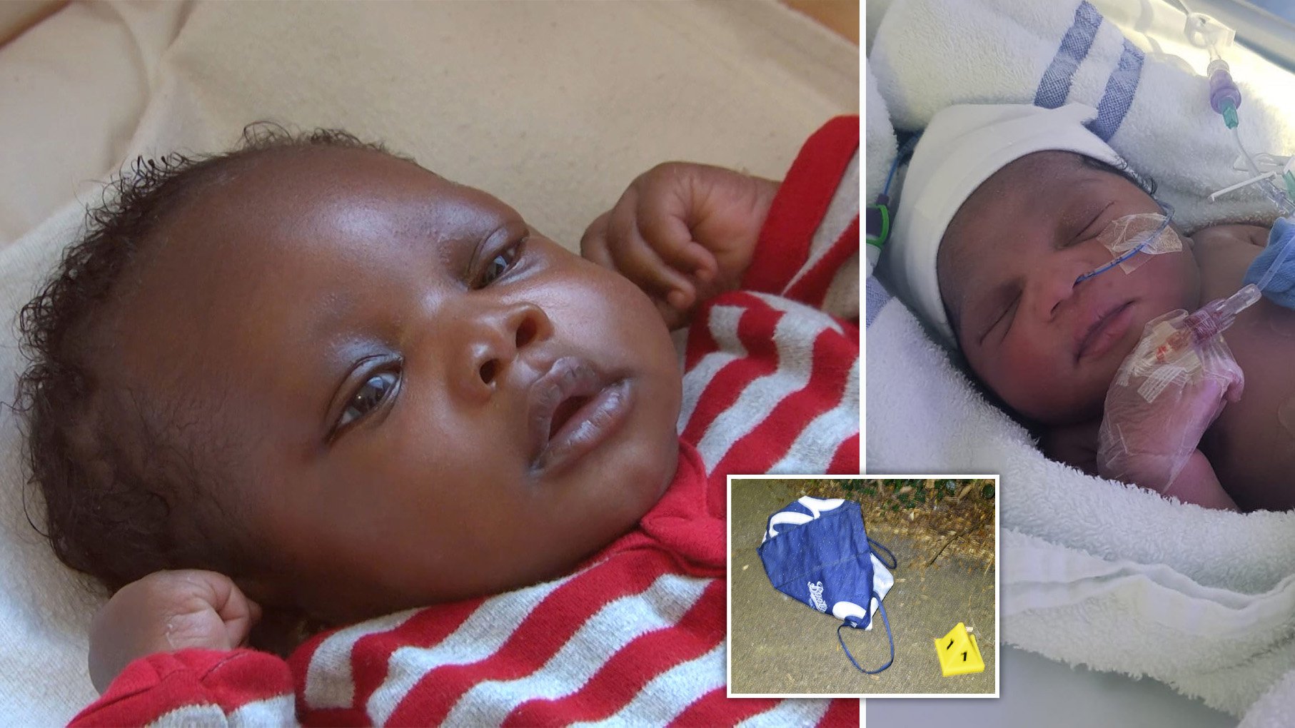 £20,000 reward offered in search for parents of three abandoned baby ...