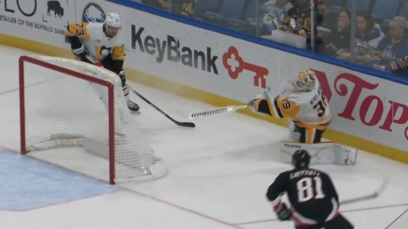 Alex Nedeljkovic scores goalie goal and makes NHL history!