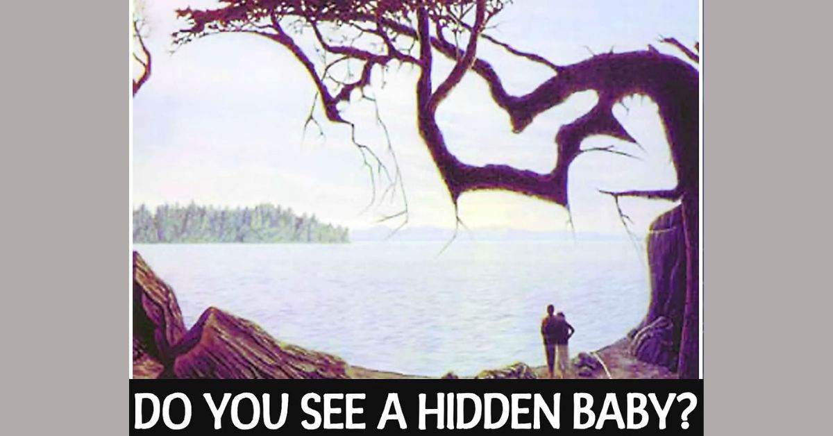 True Detective Alert! Can You Spot the Hidden Baby in Just 9 Seconds ...