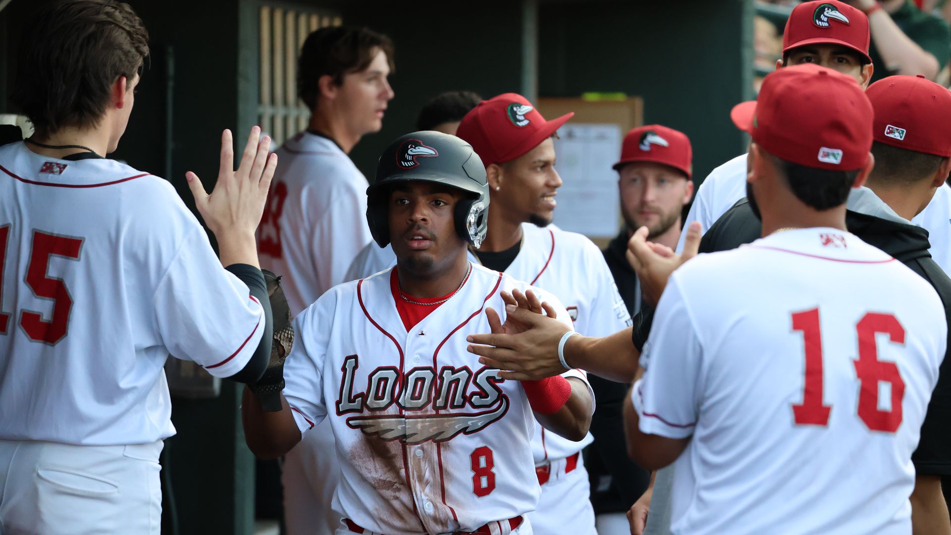 Dylan Campbell on his first full season as a pro