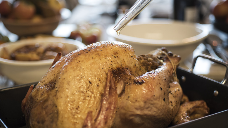 Why Turkey Basters Crack, And How To Prevent It From Happening