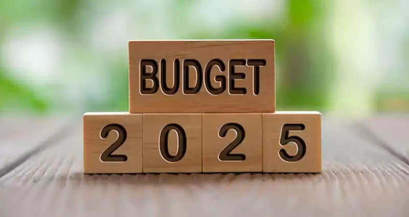 Budget 2025: The government has geared up for census, a big ...