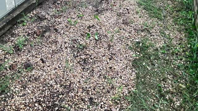 Homeowner sparks debate over seemingly harmless weed control method: 'I ...
