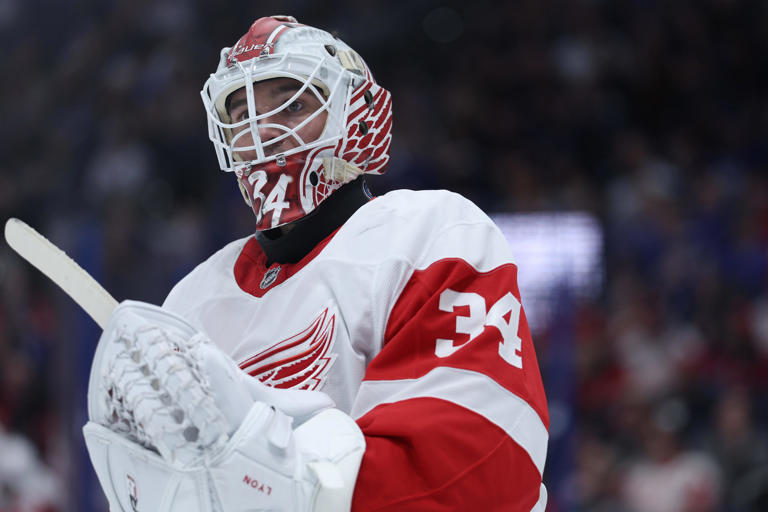 Detroit Red Wings goalie Alex Lyon ready to return, show he belongs ...