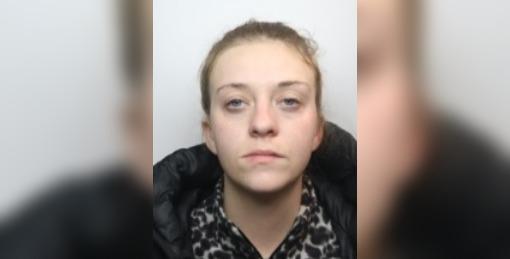 Leigh thief and dangerous XL bully owner sent to prison