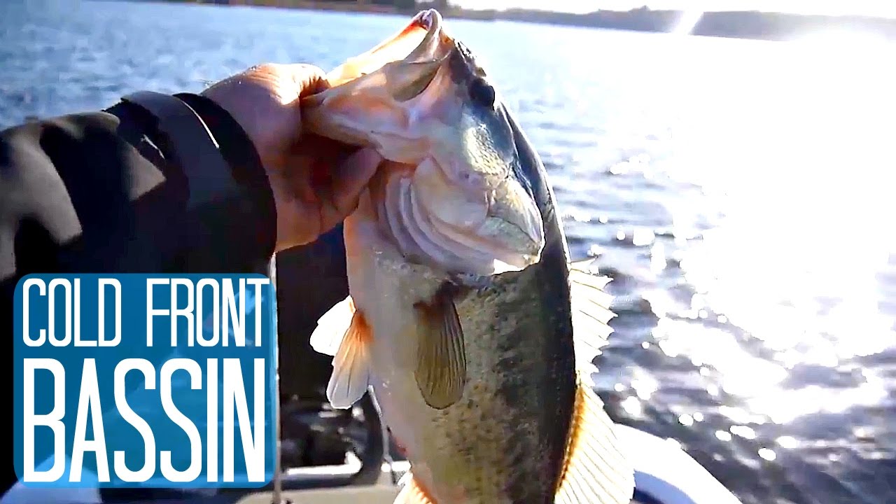 Hooking a Monster Pond Fish at Point-Blank Range