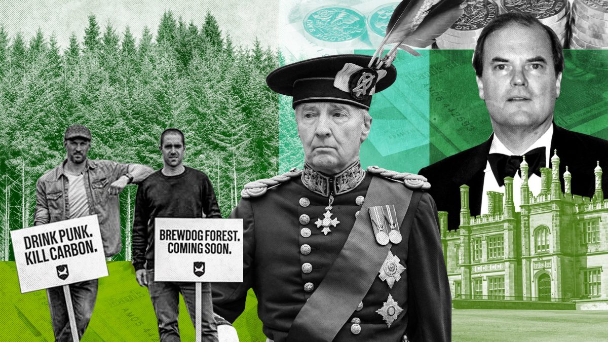 The billionaires and aristocrats cashing in on tree-planting schemes
