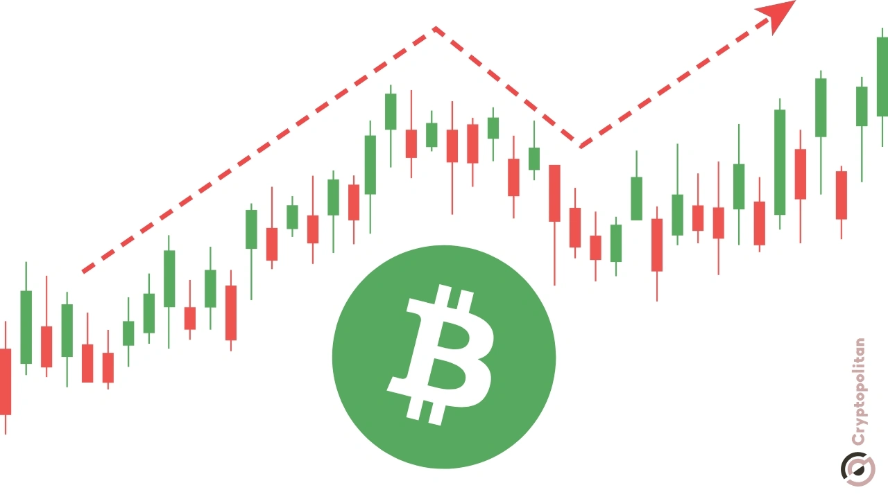 Bitcoin surges back to $105k -Is Trump’s token behind the surge?