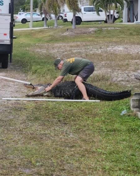 By the numbers: Cape Coral Fire Department's busy January included ...