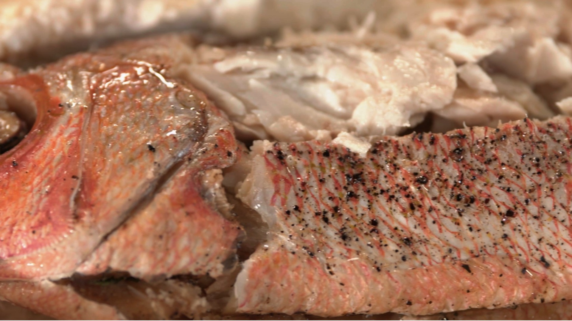 Gesalzener Schnapper in der Kruste