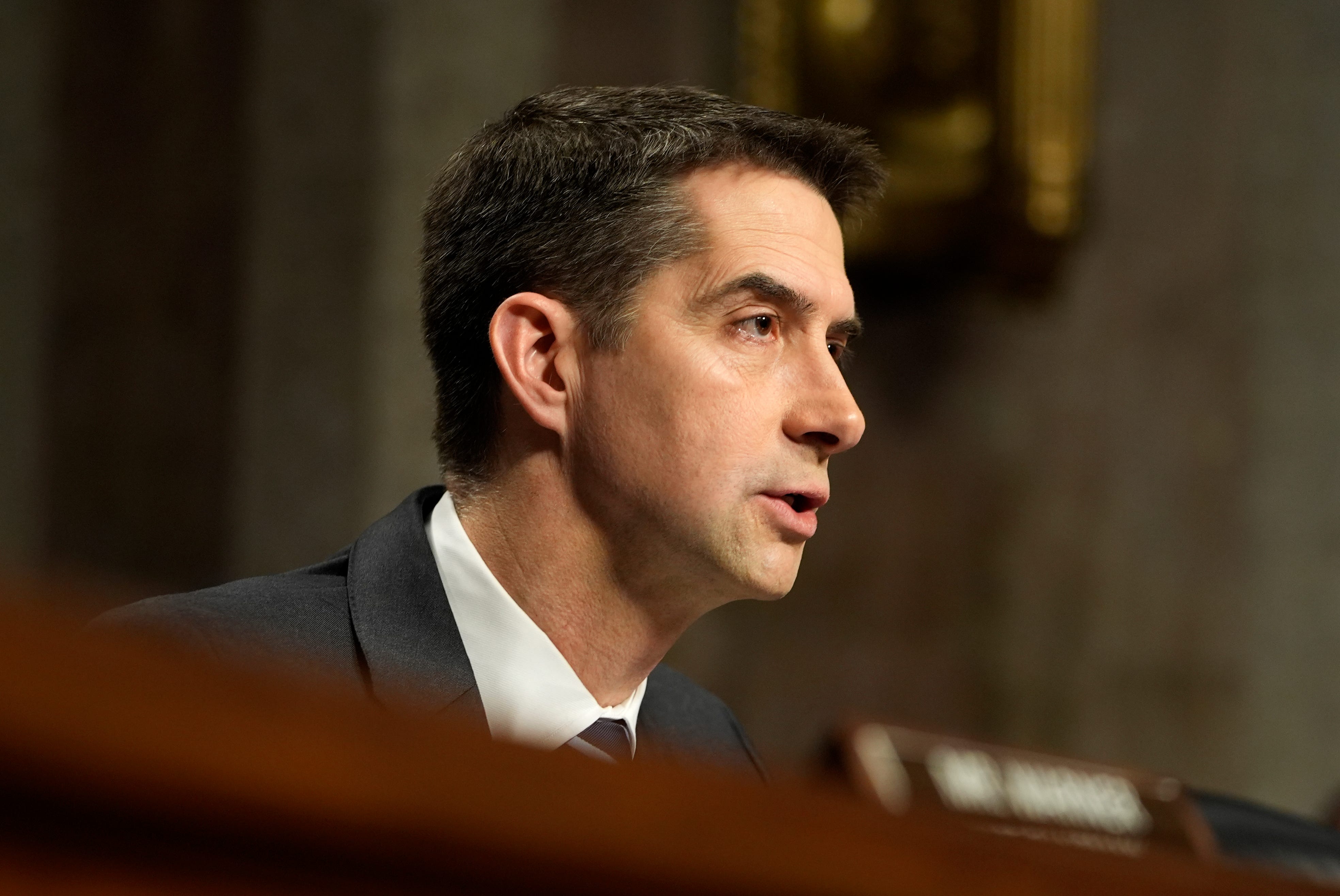 Arkansas Senator Tom Cotton reacts to TikTok's return in post on X