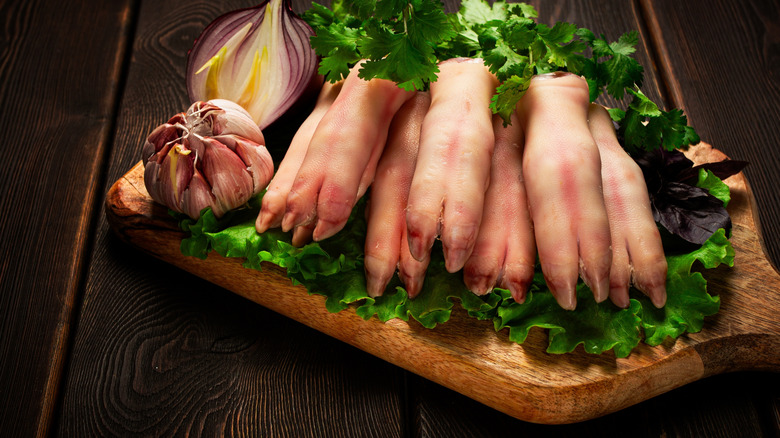 Pig's Feet Is The Underrated Cut Of Pork You Should Know How To Cook