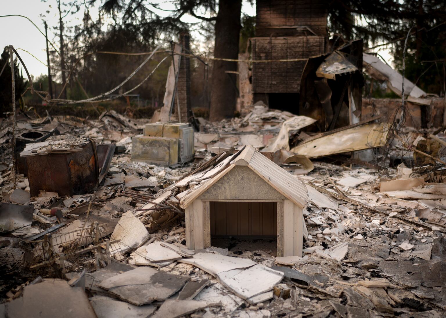 California officials warn against soaring rents after deadly firestorms