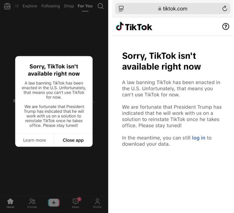 What other apps are affected by the TikTok ban? Lemon8, CapCut, Marvel ...