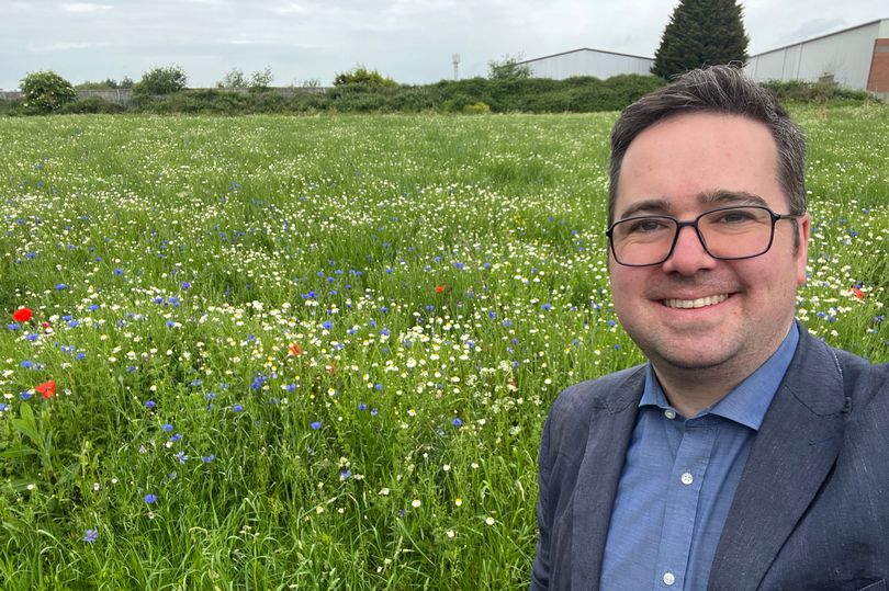 No plans to cull Gloucester's cattle, city council says
