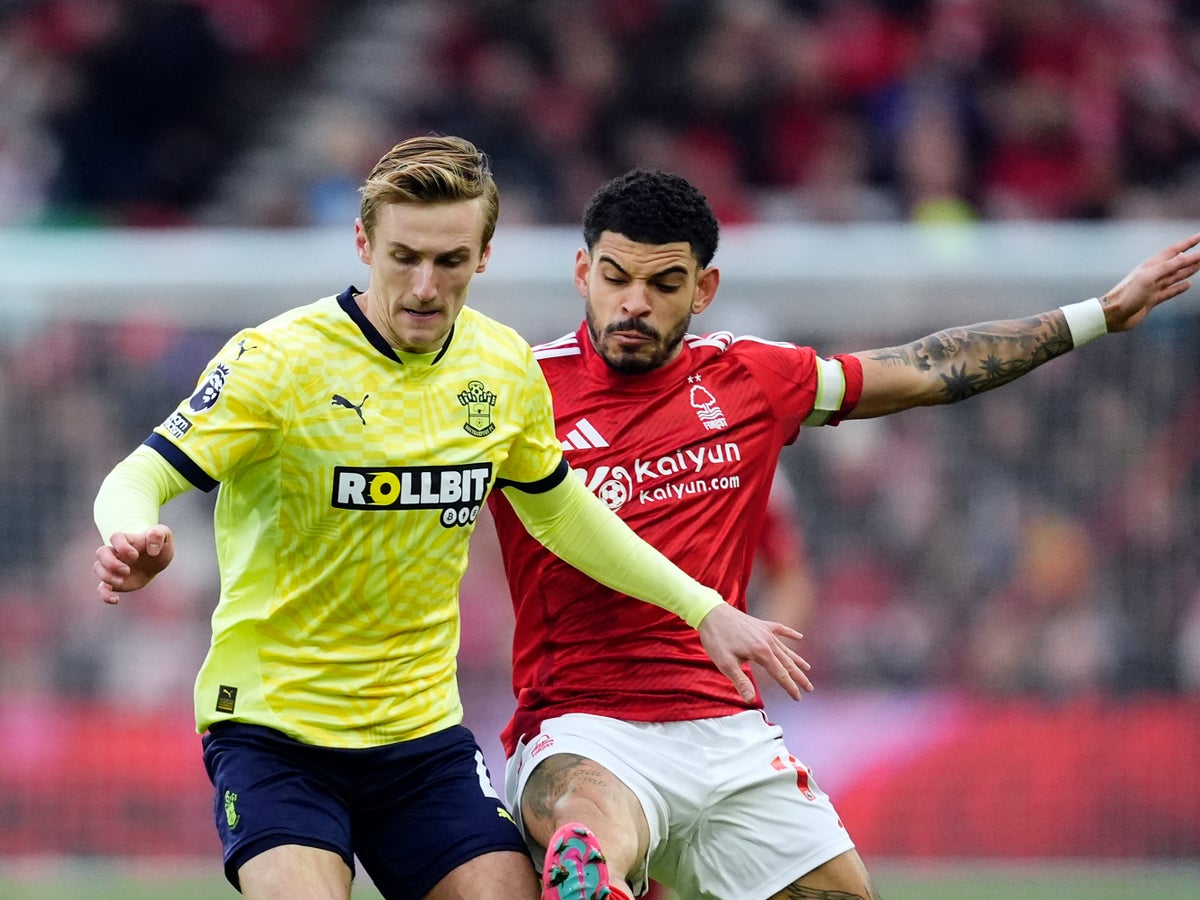Nottingham Forest vs Southampton LIVE: Premier League result and final ...
