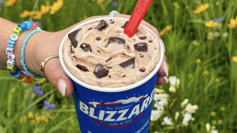 Recreate Dairy Queen's Iconic Blizzard At Home With One Kitchen Appliance