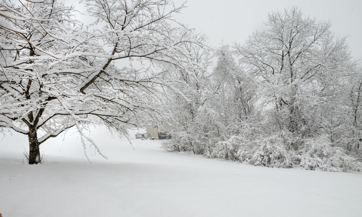 Is It Safe To Eat Snow? Experts Weigh In