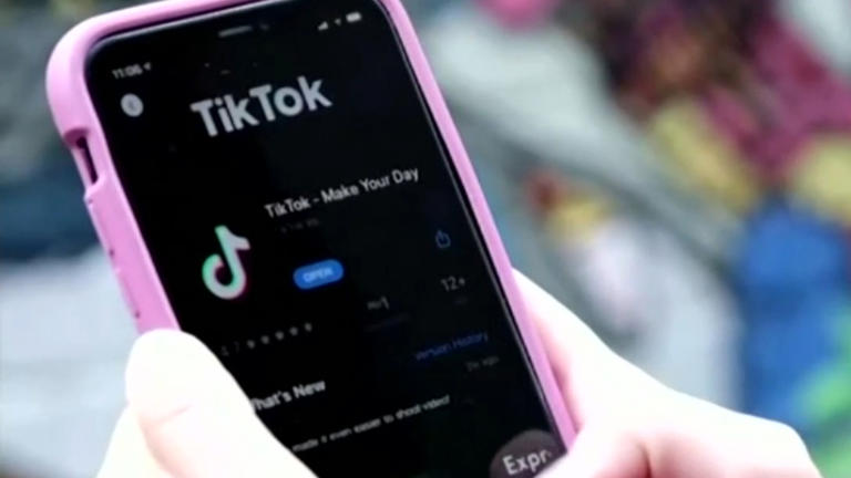 TikTok shuts down in US hours ahead of ban